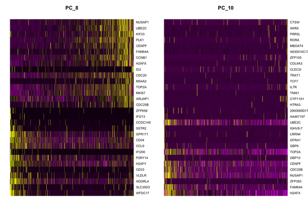 🤫 Seurat | 强烈建议收藏的单细胞分析标准流程（细胞周期的影响去除）（三） - 知乎