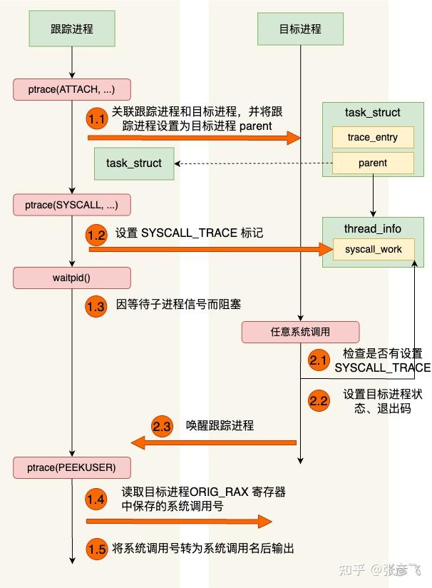 揭开 strace 命令捕获系统调用的神秘面纱 - 知乎