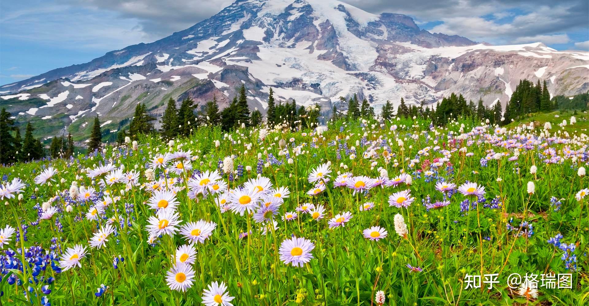 vLLM-0005-伺服 02-使用刀客部署 - 知乎