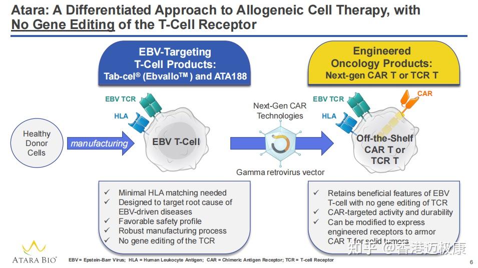 全球首个同种异体T细胞免疫疗法Ebvallo (tabelecleucel)欧盟获批上市 - 知乎