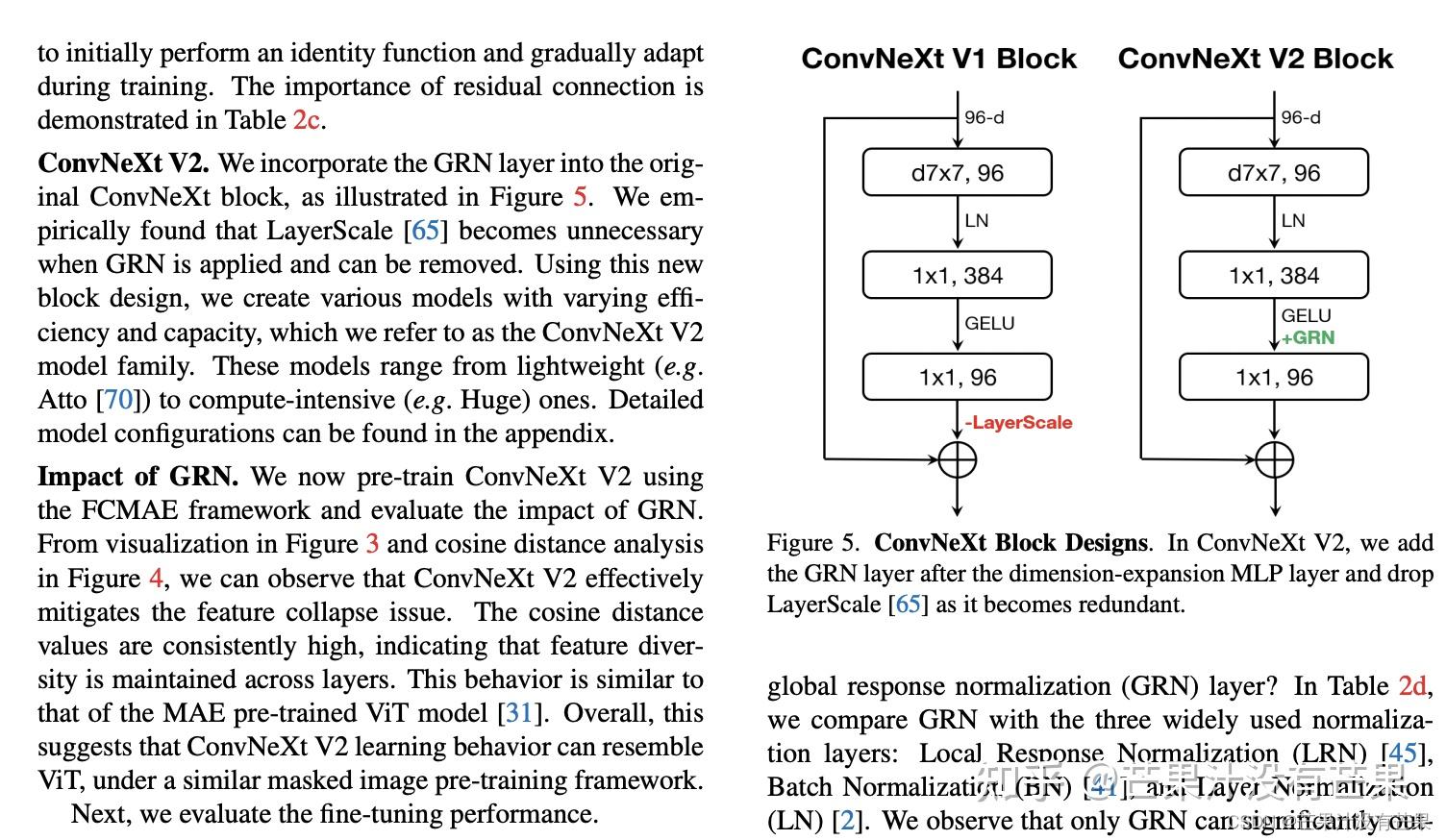 芒果YOLOv8改进：主干Backbone篇之MAE结构：当MAE遇见卷积操作，最新原创 ConvNeXtv2 升级版，高效涨点，使用 ...