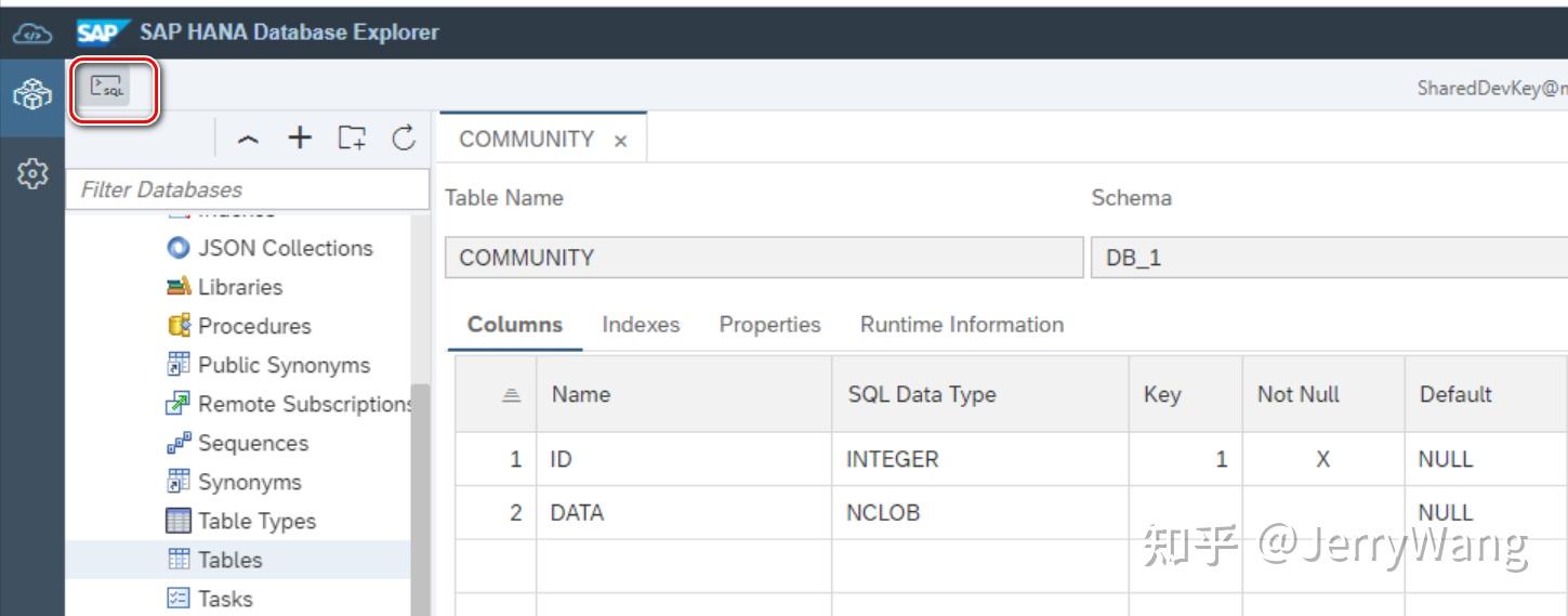 SAP HANA Cloud 学习教程之二： 如何往SAP BTP 上 HANA Cloud 实例的数据库表里插入数据 - 知乎