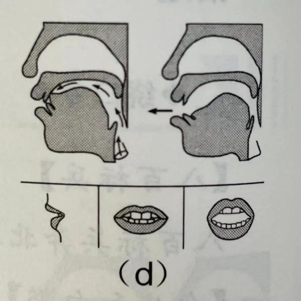 基础发音—d、t、n、l发音及练习 - 知乎