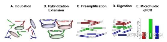 PEA原理的前世今生 | Olink蛋白质组学 - 知乎