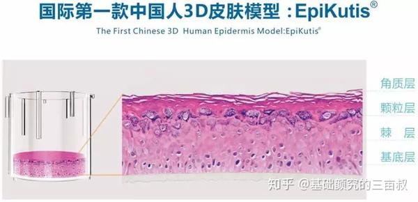 国货扬眉吐气，靠他们了！ - 知乎