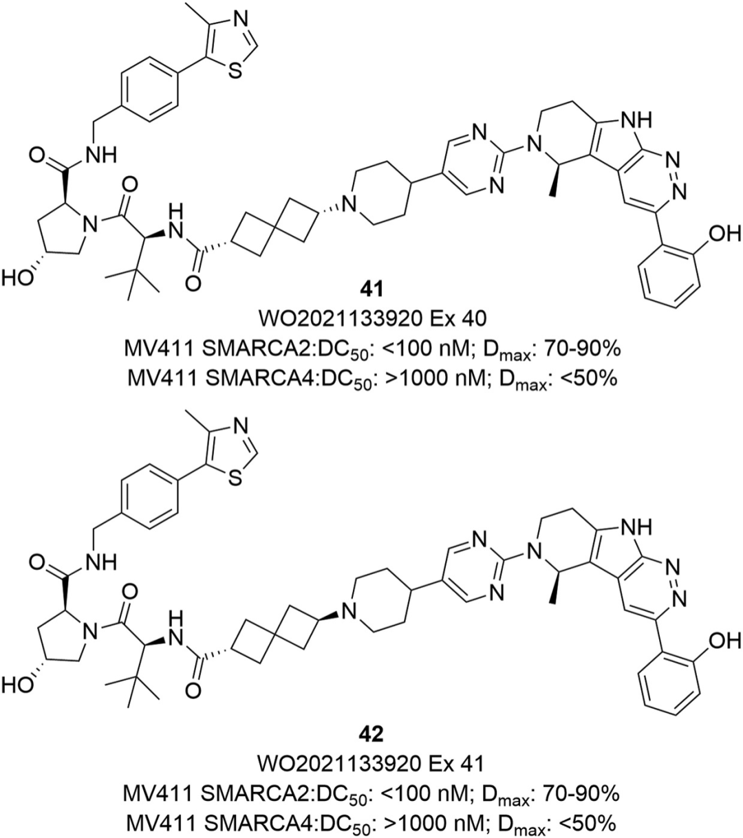 合成致死靶点SMARCA2: PROTAC蛋白降解剂 (专利综述) - 知乎