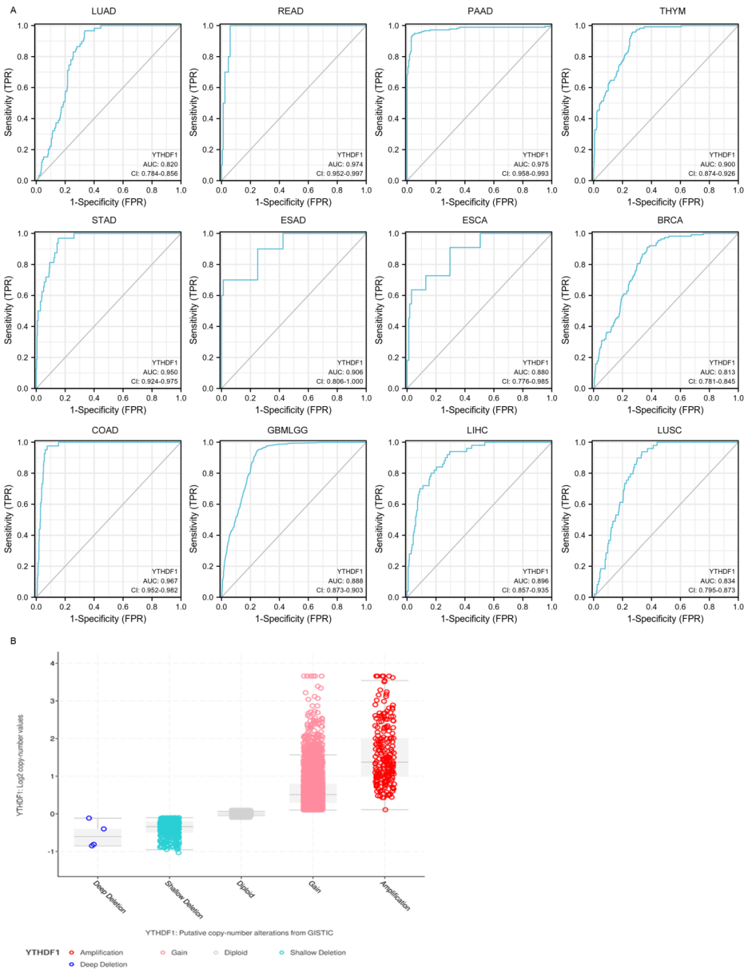 CDD 综述︱杨祚璋团队综述了m6A阅读蛋白YTHDF1在多种人类肿瘤发生和转移中可能的预后价值、潜在的靶蛋白及其调控机制 - 知乎