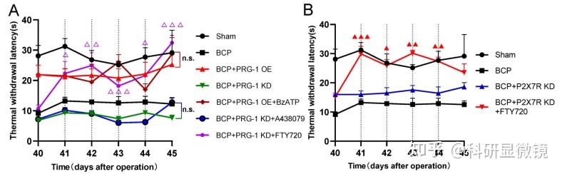 SCI写作-SCI文章中图例（figure legend）频频出问题，看看这篇文章怎么说 （基础实验版） - 知乎