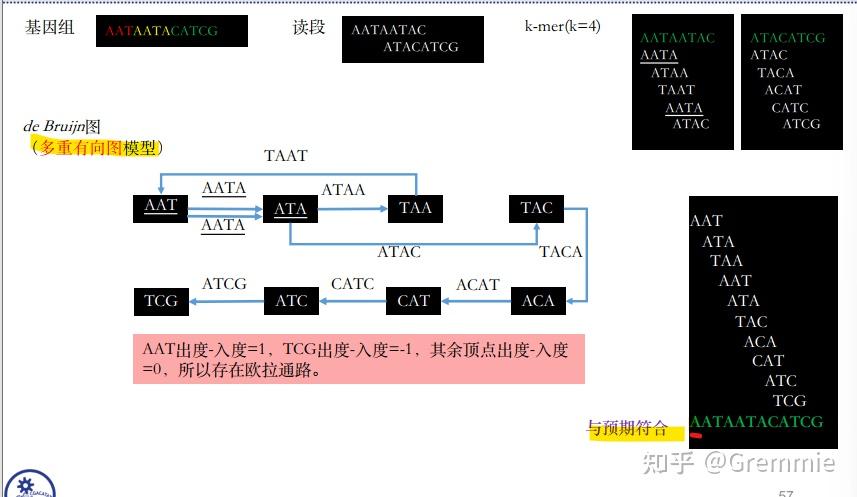 基因组装的概念/算法(OLC,K-mer)详解 - 知乎