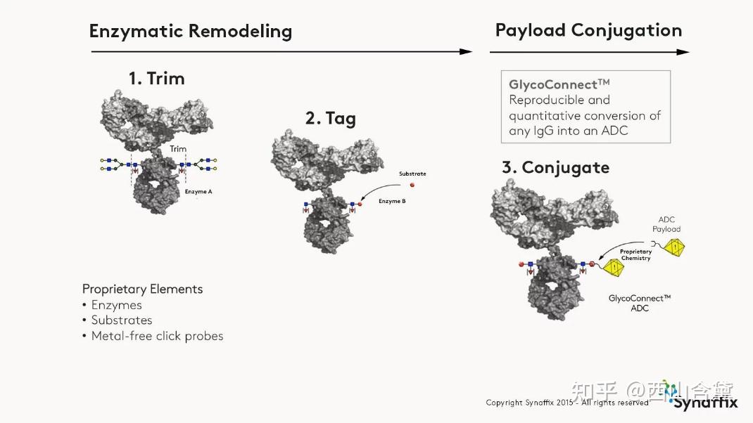 国内外知名企业ADC技术平台(第一期，Synaffix、Thiologics、Concortis、荣昌生物 - 知乎