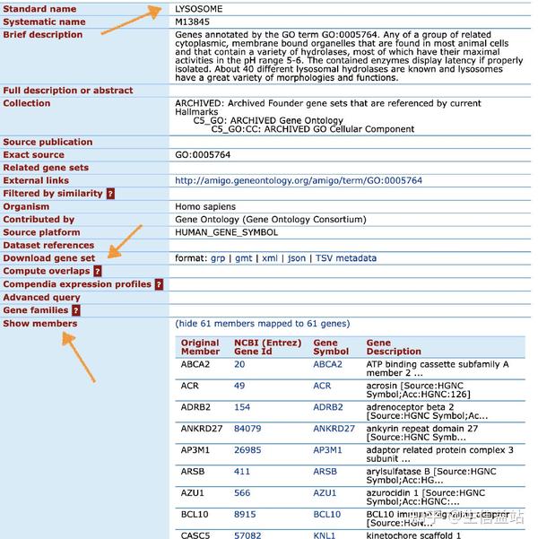 Nature热点！溶酶体是个啥玩意 ？生信如何分析？附相关数据库和基因集 - 知乎