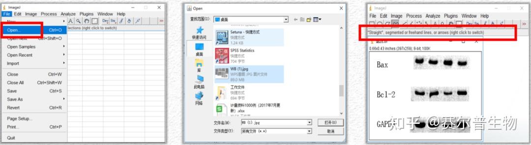 ImageJ定量分析 WB 灰度值（详解版） - 知乎