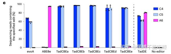 基于TadA-8e的CBE工具开发 - 知乎