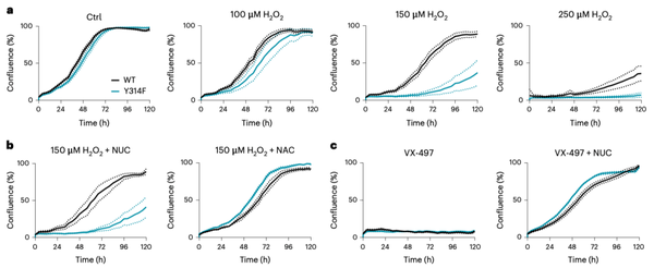 Nature Metabolism丨GAPDH 氧化还原开关保护还原能力并使应激肿瘤细胞存活 - 知乎
