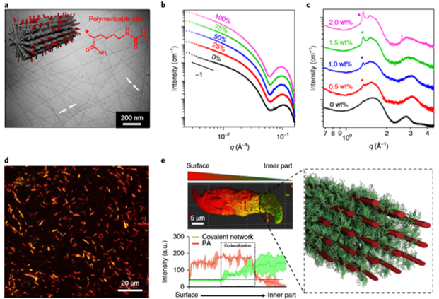 超分子顶尖大牛Samuel Stupp院士《自然·材料》：智能软机器人！ - 知乎
