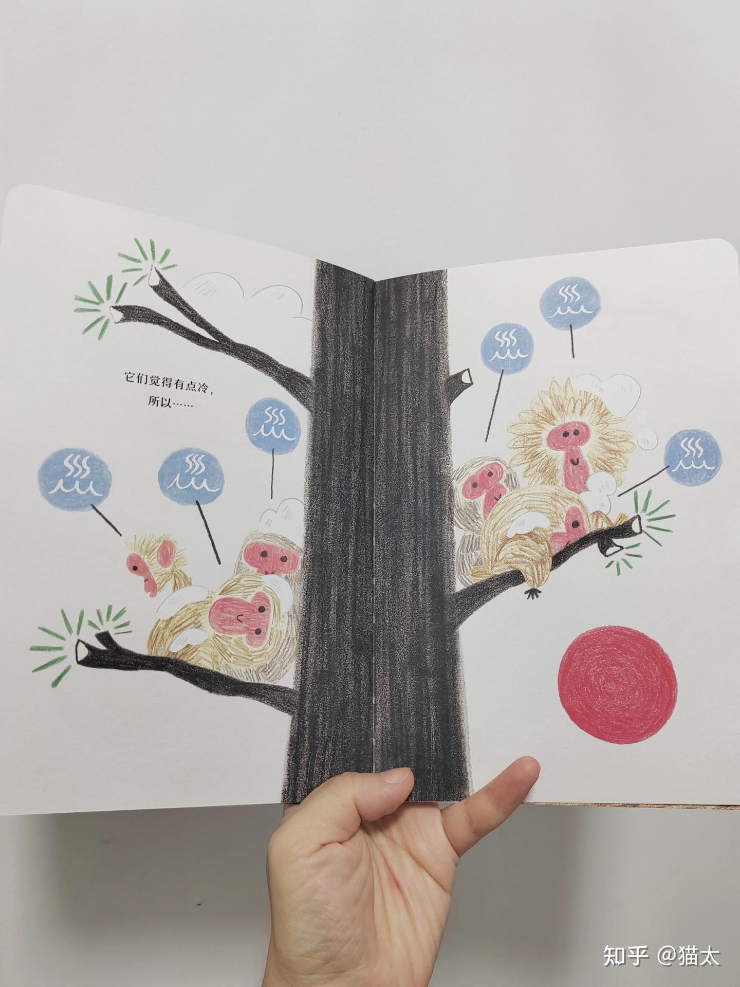温暖治愈系绘本 雪猴一家的日常 - 知乎