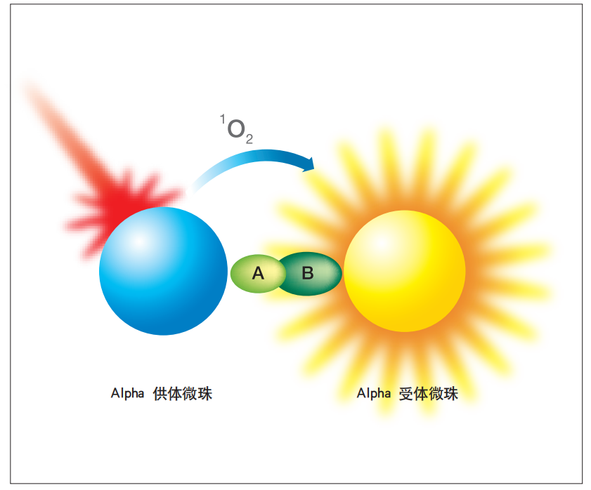 PE多模式微孔板检测系统EnSight遇上Alpha技术，为你打开全新视角！ - 知乎