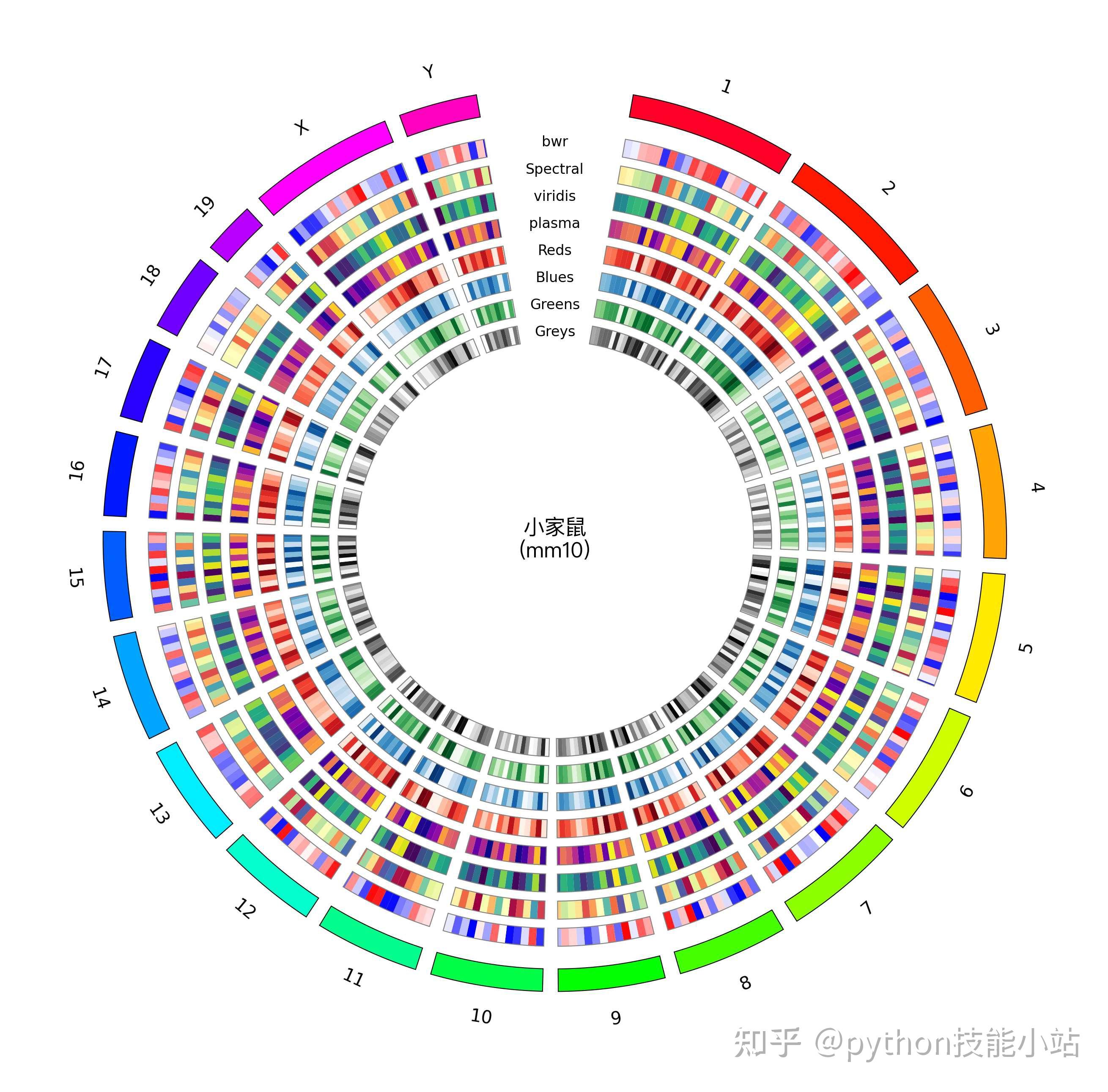 Circos图怎么画？（终）请看VCR - 知乎