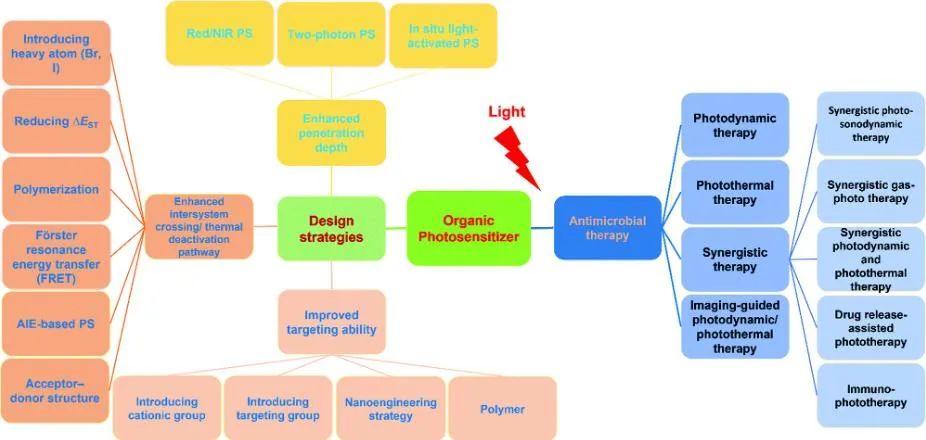 【Chem.Soc.Rev】用于抗菌光疗的有机光敏剂 - 知乎