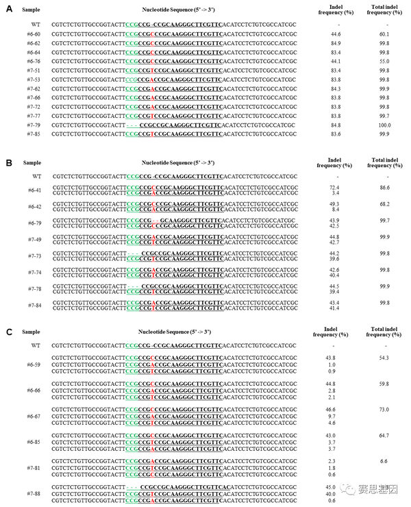 【Hortic Res】CRISPR/Cas9介导的基因编辑赋予大白菜对芜菁花叶病毒（TuMV）的抗性 - 知乎