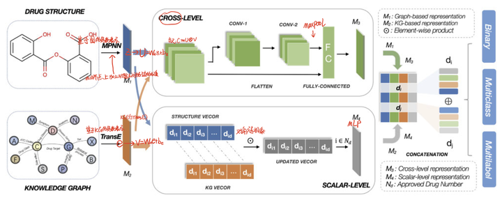 知识图谱-生物信息学-医学顶刊论文(Bioinformatics-2021)-MUFFIN:用于DTI预测的多尺度特征融合 - 知乎