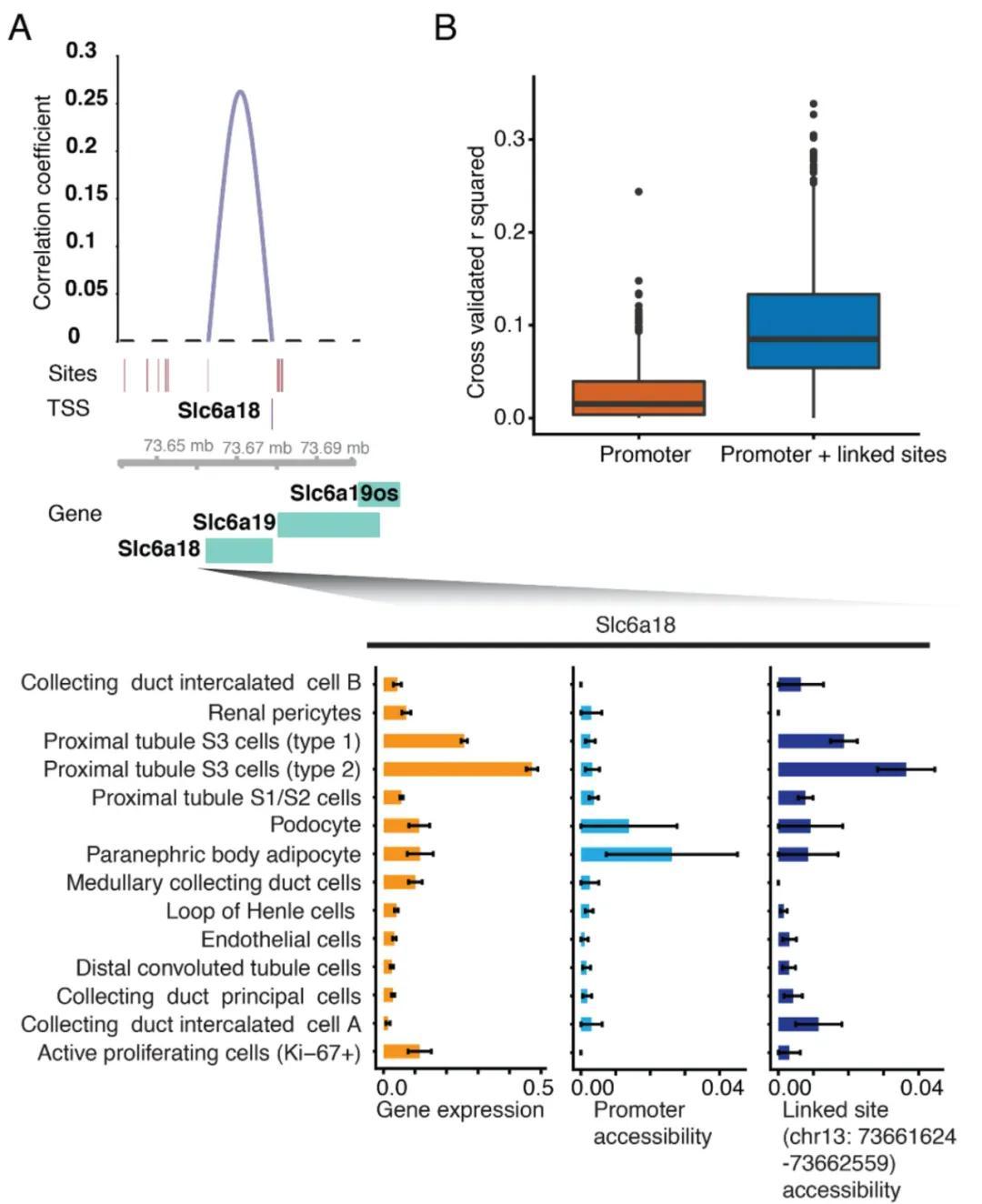 10x Genomics单细胞多组学ATAC+基因表达原理与应用 - 知乎