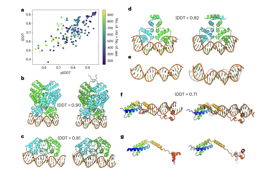 Nat. Methods | RoseTTAFoldNA准确预测蛋白质-核酸复合体 - 知乎