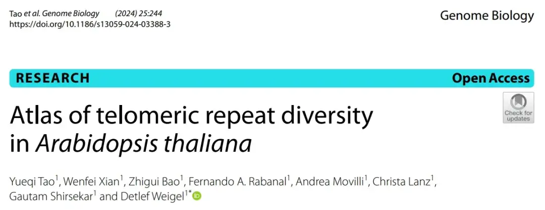 Genome Biology | 德国马普所Detlef Weigel研究组揭示拟南芥端粒重复序列多样性 - 知乎