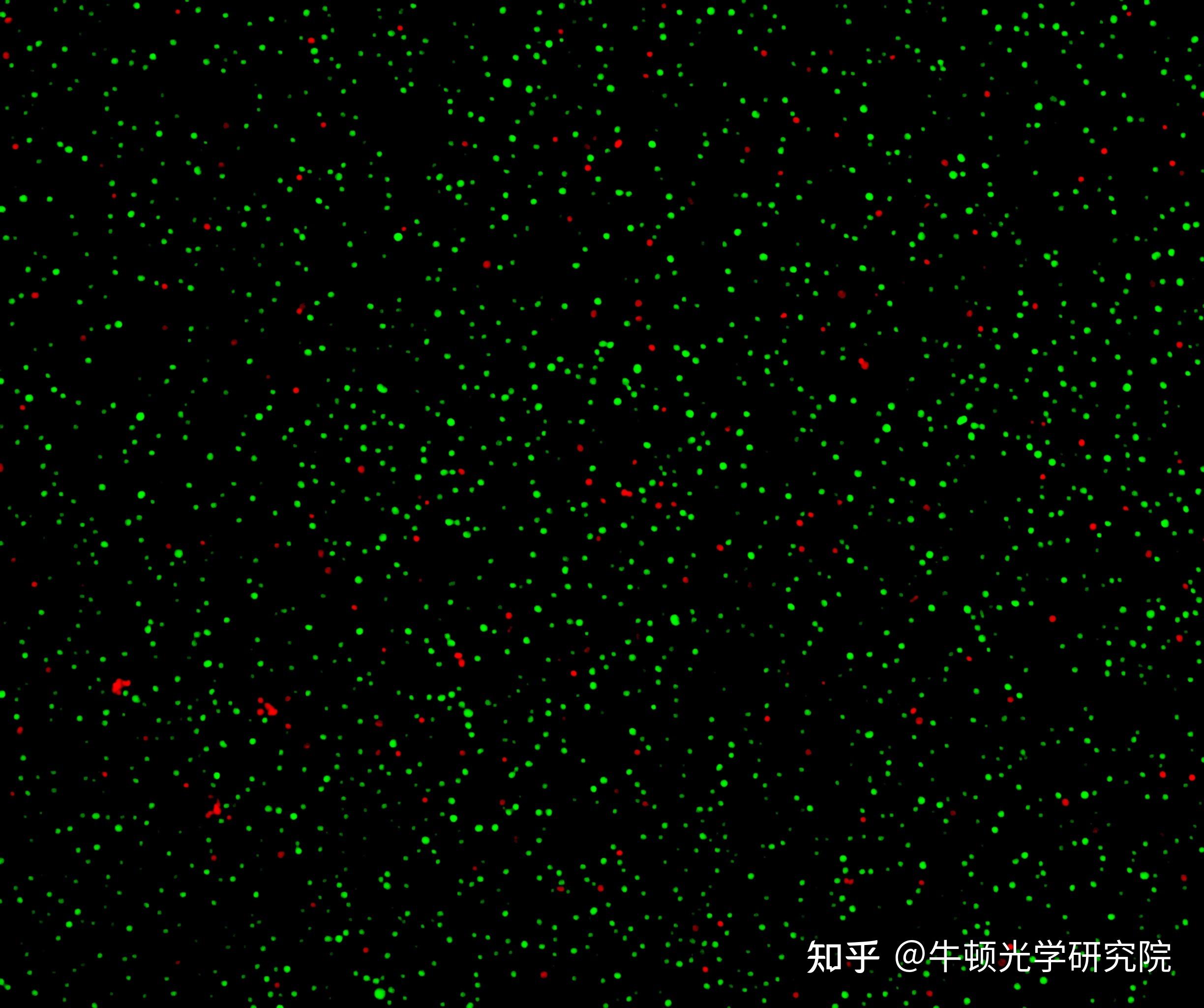 【细胞解读系列】K562细胞——癌症研究中的秘密武器 - 知乎