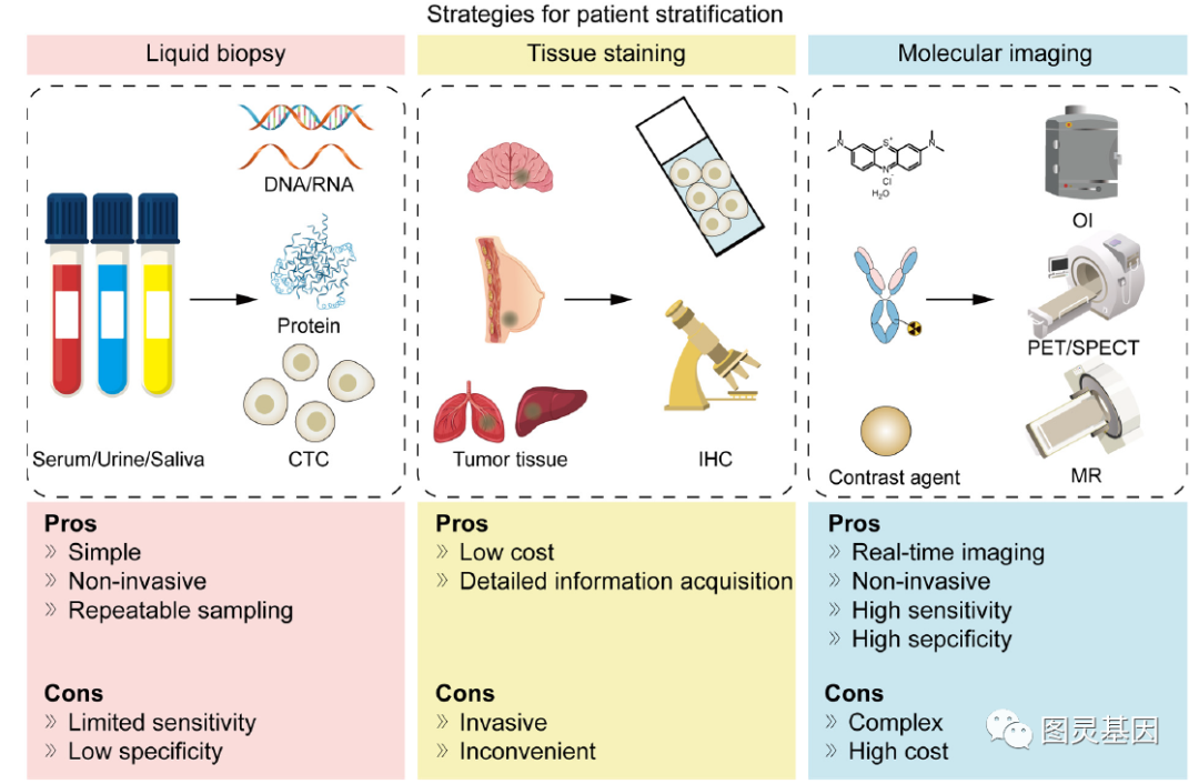 Che Soc Rev |北京大学应用纳米探针分子成像于肿瘤患者分层 - 知乎