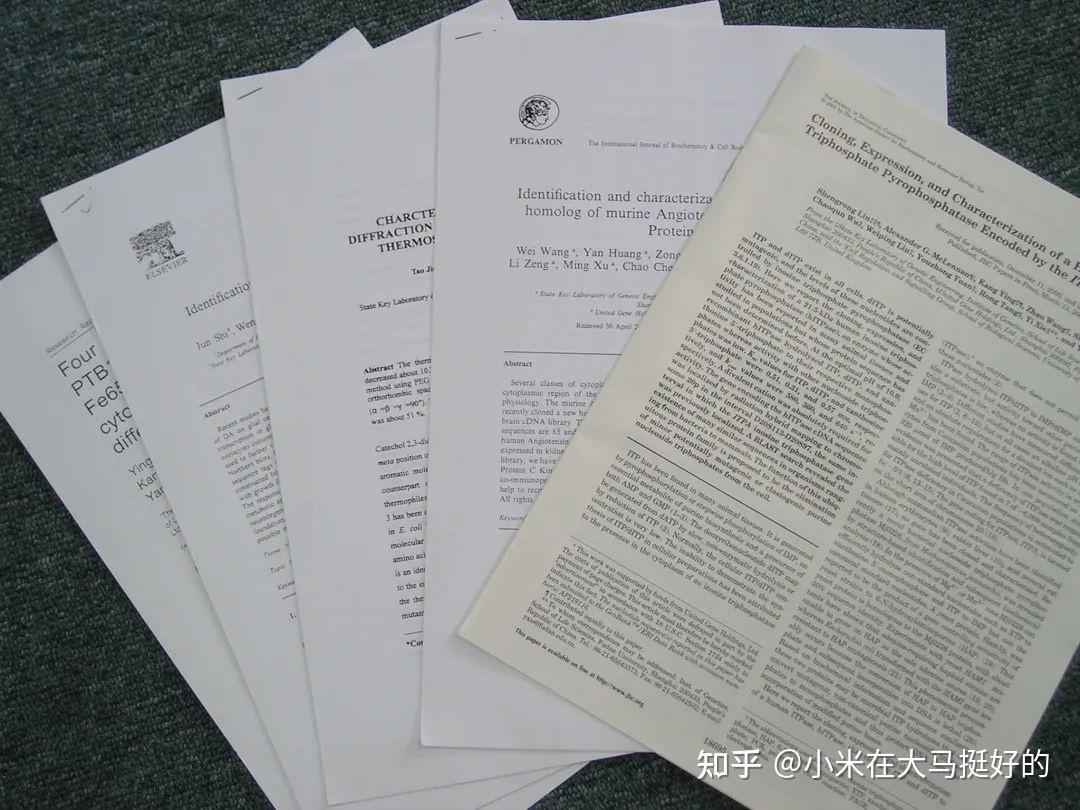 马来西亚硕博学位论文格式简介干货 知乎