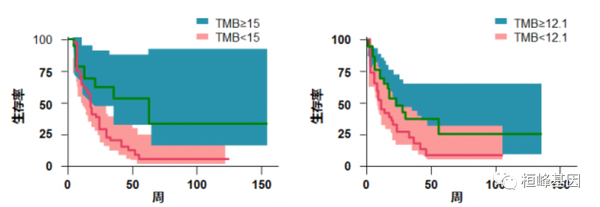 DNA 13. SCI 文章肿瘤突变负荷计算方法（TMB） - 知乎