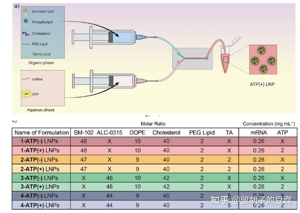 共递送ATP提升mRNA-LNP细胞内蛋白表达水平数十倍 - 知乎
