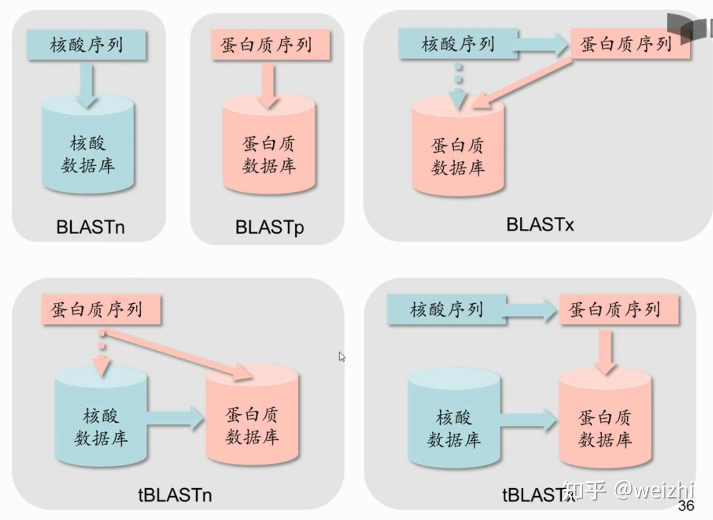 山东大学生物信息学学习笔记4—BLAST - 知乎