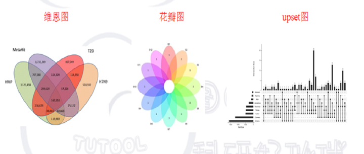 在线作图|如何画韦恩图（包含upset图） - 知乎