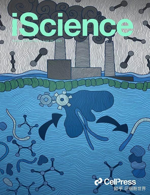 2021年6月，这些研究登上Cell Press期刊封面！ - 知乎