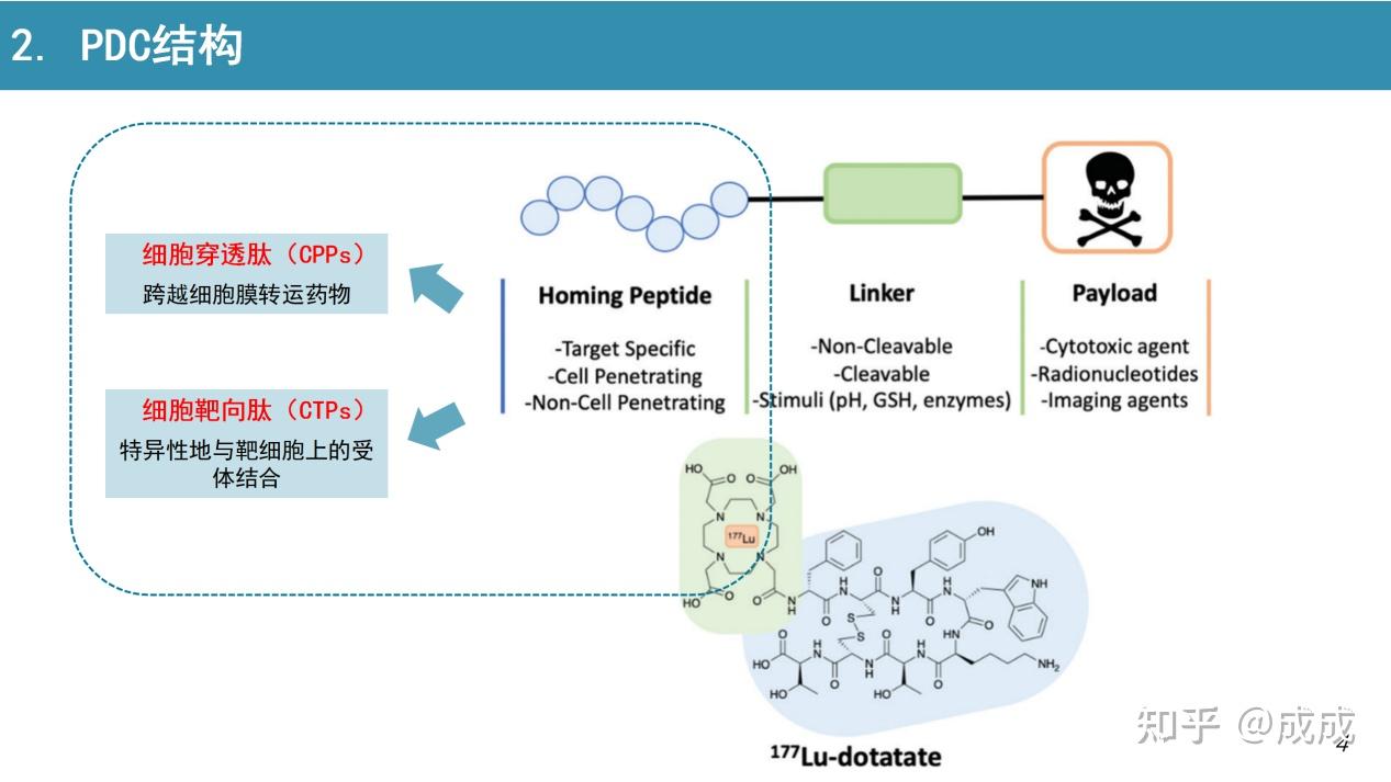 文献专题解读| 多肽药物偶联物(Peptide-drug conjugates, PDCs)概述与未来发展方向【副标题：多肽作为癌症靶向治疗的 ...