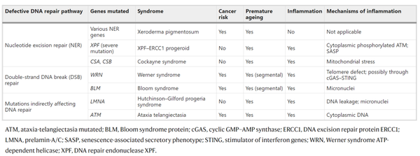 Nat Rev Immunol 综述 | 浙江大学医学院赵阳等评述衰老相关炎症中的DNA损伤和修复 - 知乎