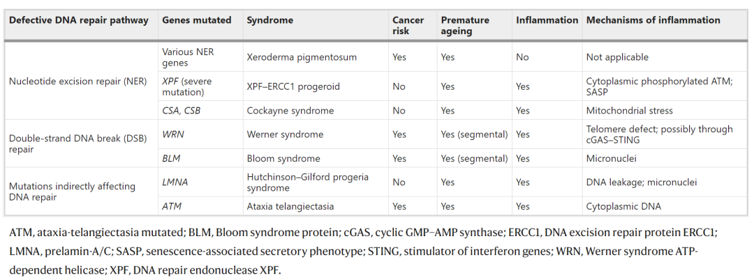 Nat Rev Immunol 综述 | 浙江大学医学院赵阳等评述衰老相关炎症中的DNA损伤和修复 - 知乎