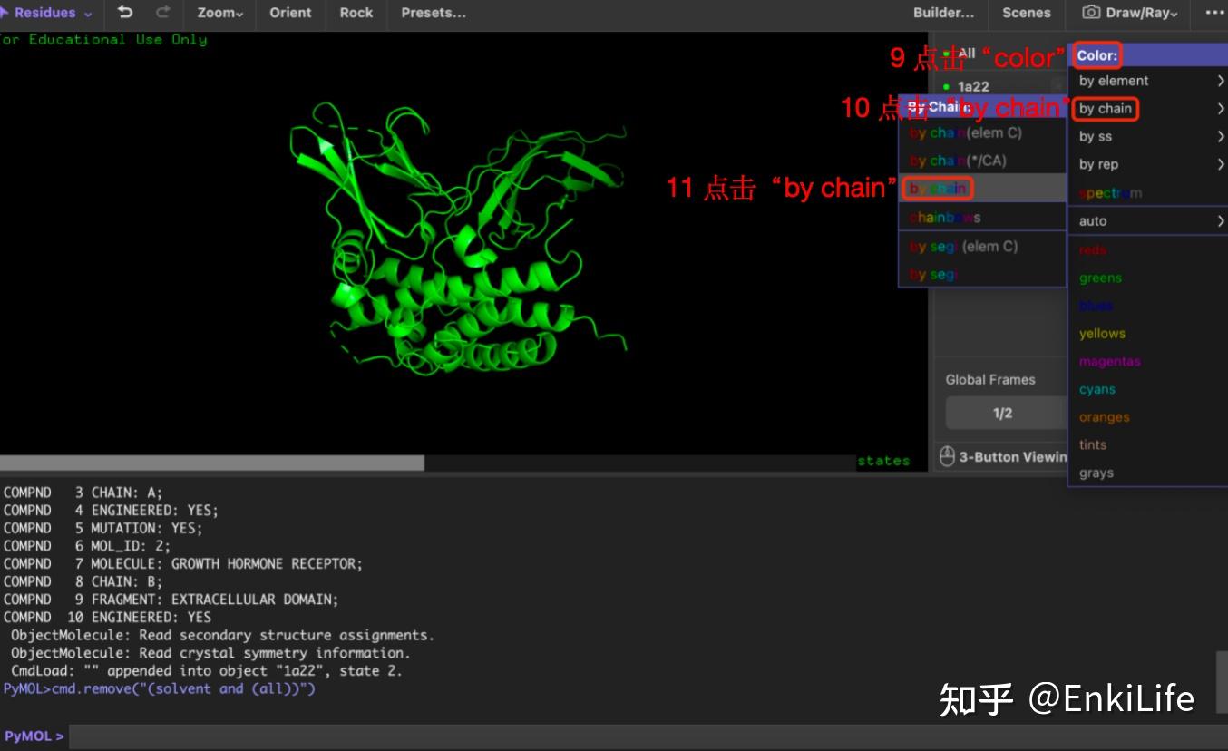 AlphaFold3预测结果不会分析？看看Pymol分析AlphaFold3预测结果有多香 - 知乎