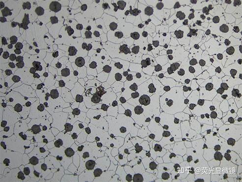 什么是金相显微镜？ - 知乎