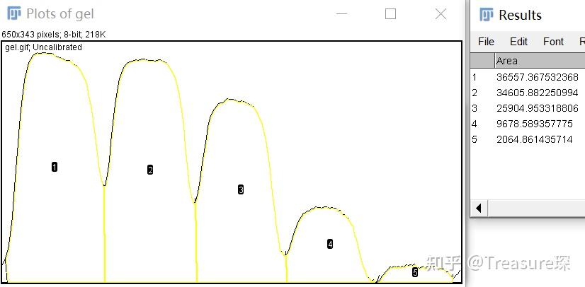 ImageJ实用技巧——Western Blot定量分析深入探究(定量分析篇) - 知乎