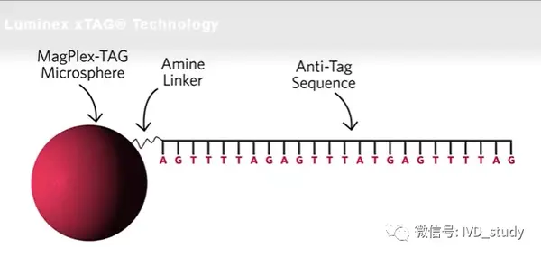 Luminex系统丨三大关键核心技术介绍 - 知乎
