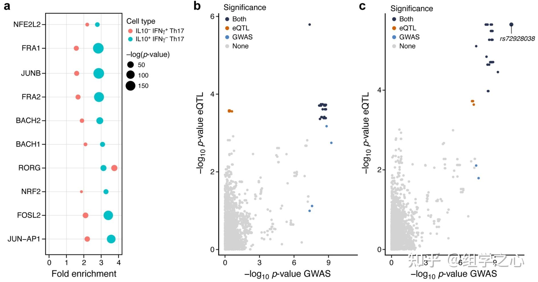 nature immunology | BACH2调控“调节性”和“促炎性”TH17细胞的染色质多样化状态 - 知乎