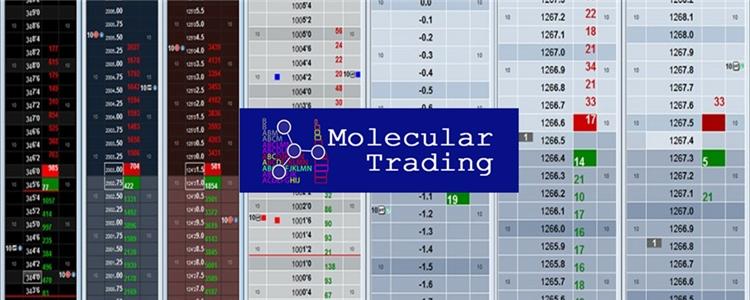 MTT订单流中文版即将上线！ - 知乎