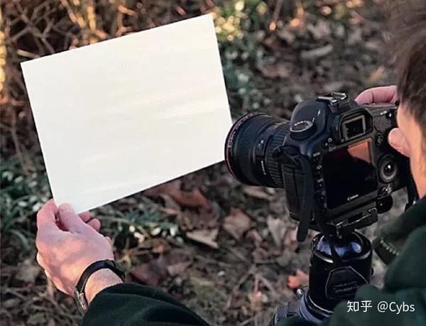 【干货】如何理解和处理白平衡 - 知乎