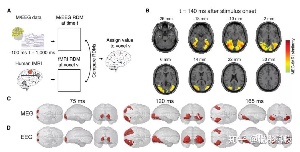 EEG/MEG-fMRI融合初识:在空间和时间上解析人脑反应 - 知乎
