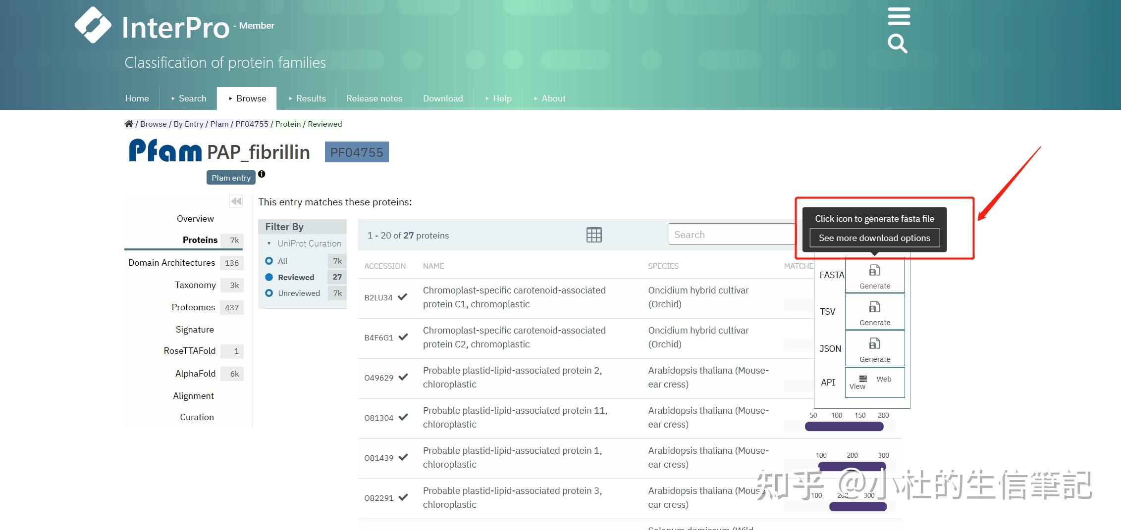 基于TBtools做基因家族分析教程 （全）