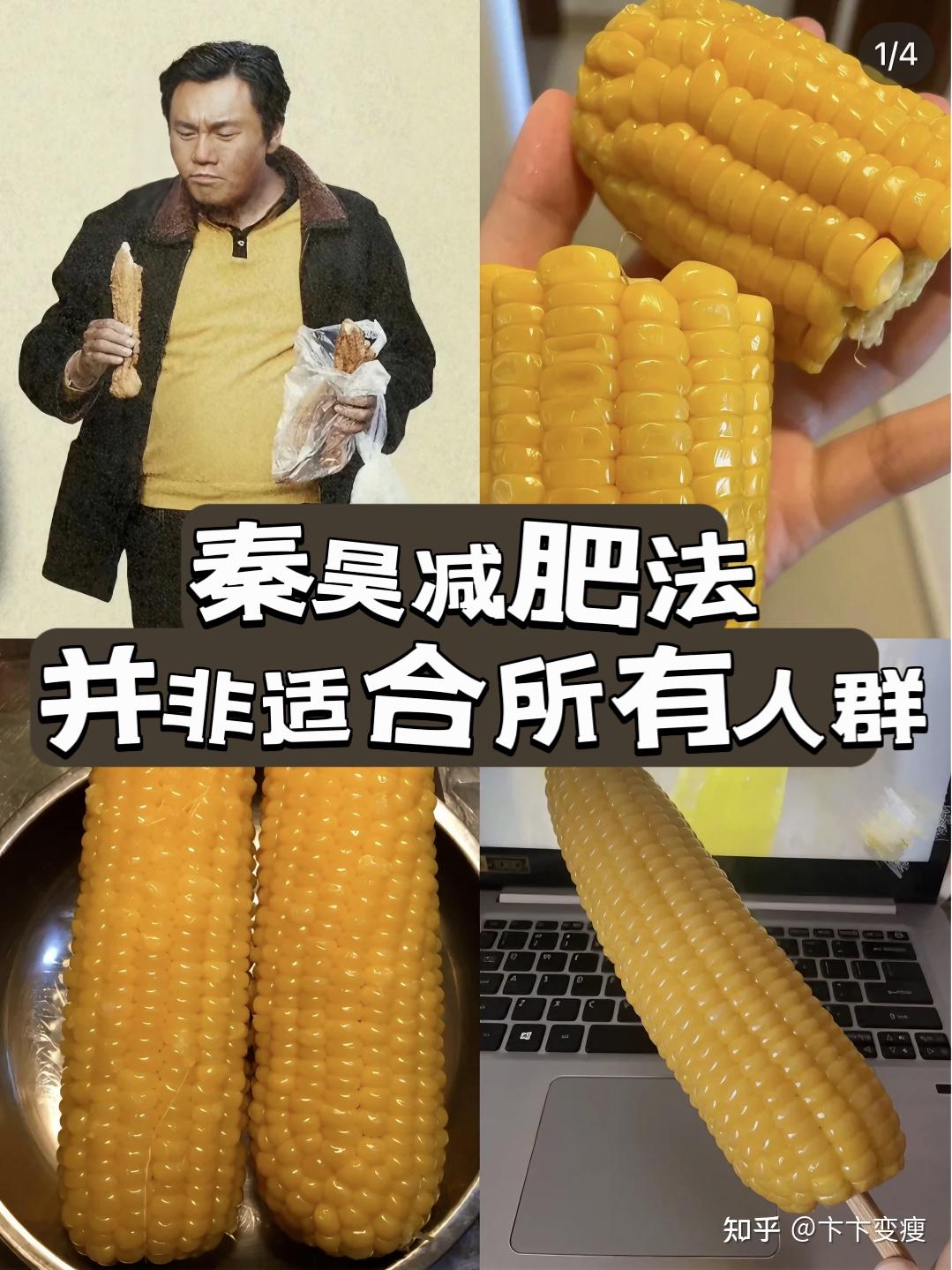 秦昊减肥法真的这么神奇吗？适合普通人吗？ 知乎