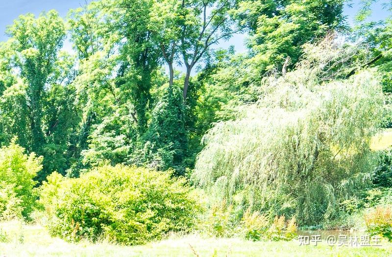 索尼 a7m4 评测（8000多字超详细干货） - 知乎